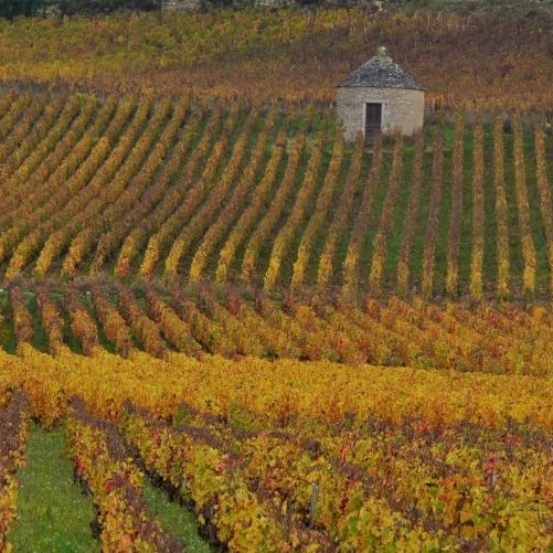 Domaine Decelle & Fils