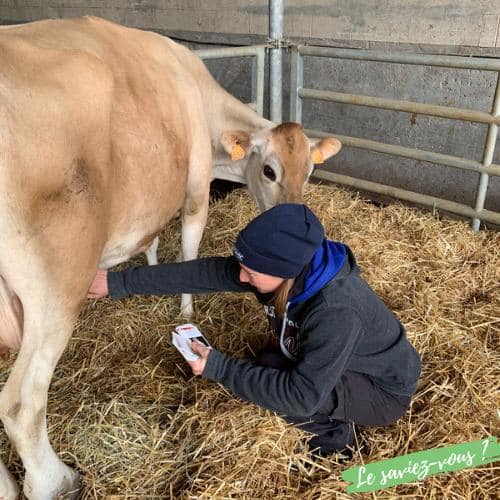 La Ferme de la Tremblaye