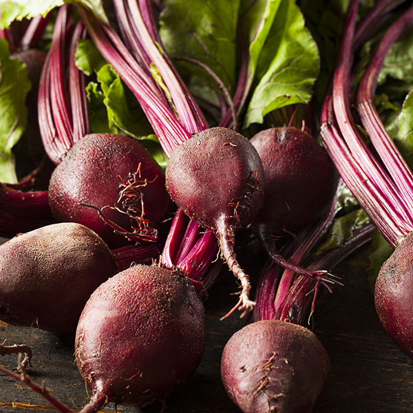 Betterave et ricotta